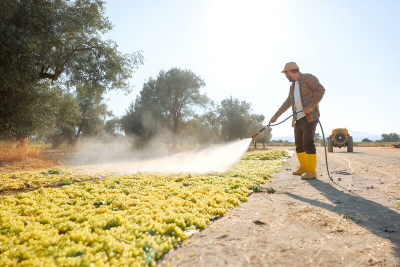 About Us | Maxwell Foods